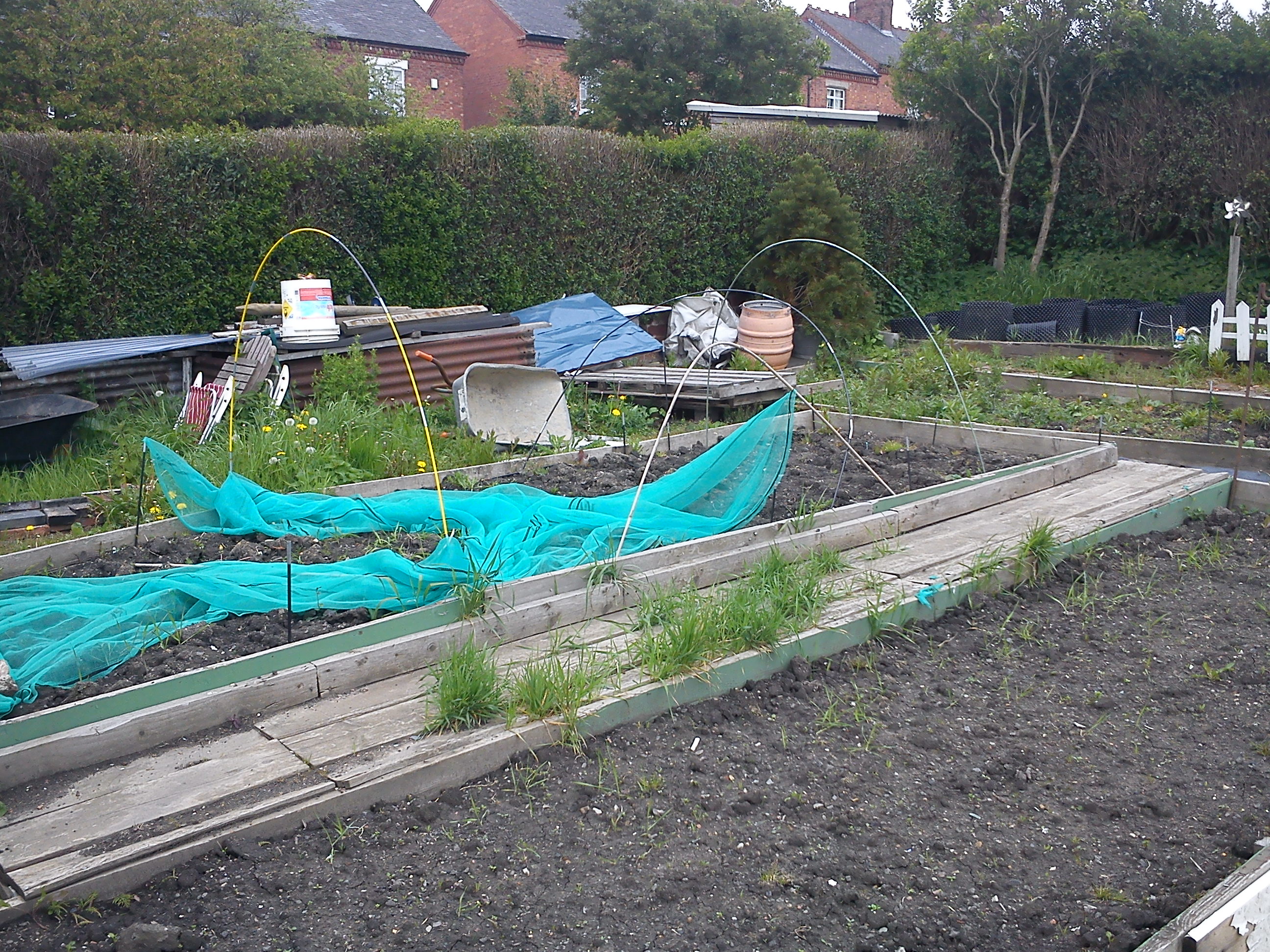 Allotment Parties - Primrose Garden Club | Expert Tips, Advice ...