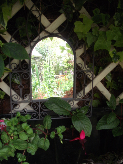 Mirror, mirror on the wall (or the fence, or the trellis)... - Primrose ...