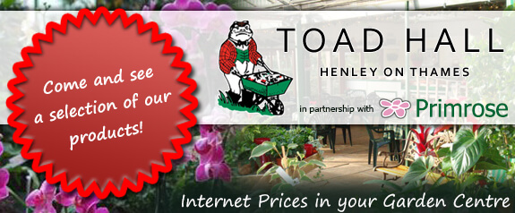 Primrose - now in Toad Hall garden centre in Henley-on-Thames ...