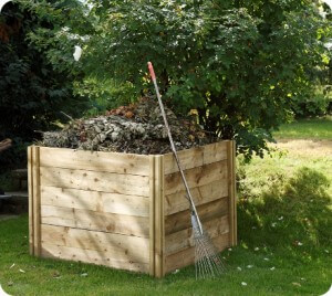 5 Garden Essentials This Autumn - Primrose Garden Club | Expert Tips ...