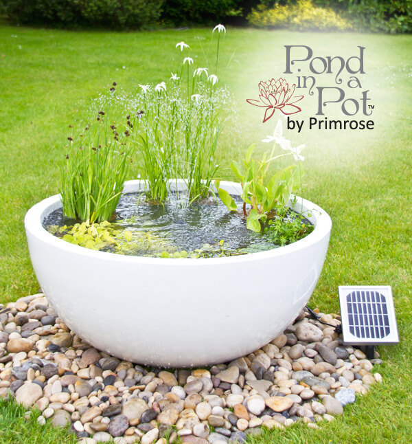 How to Build a Pond Guide - Part 1 - Primrose Garden Club | Expert Tips ...