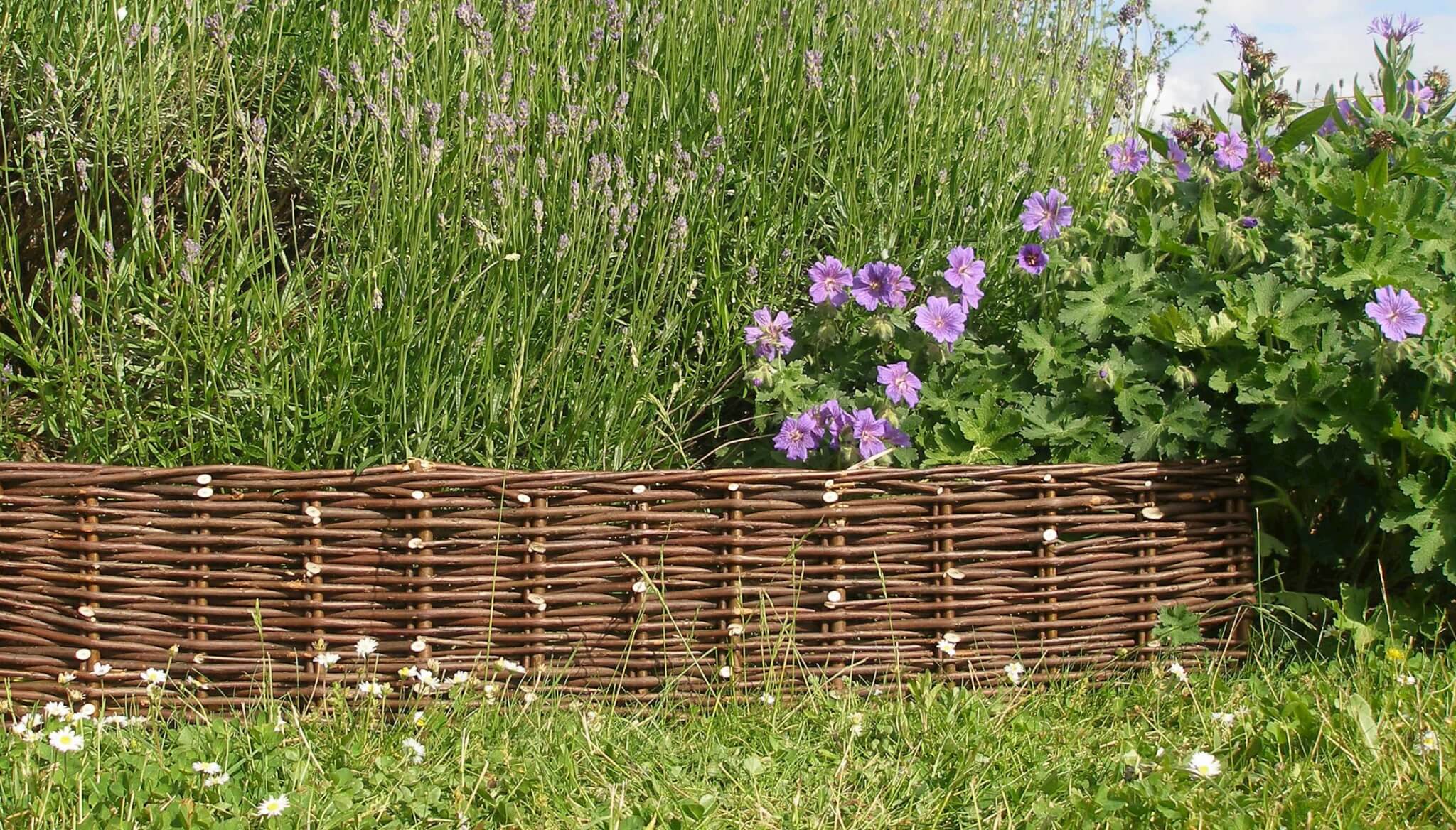 Lawn Edging Ideas for Perfect Borders - Primrose Garden Club | Expert ...