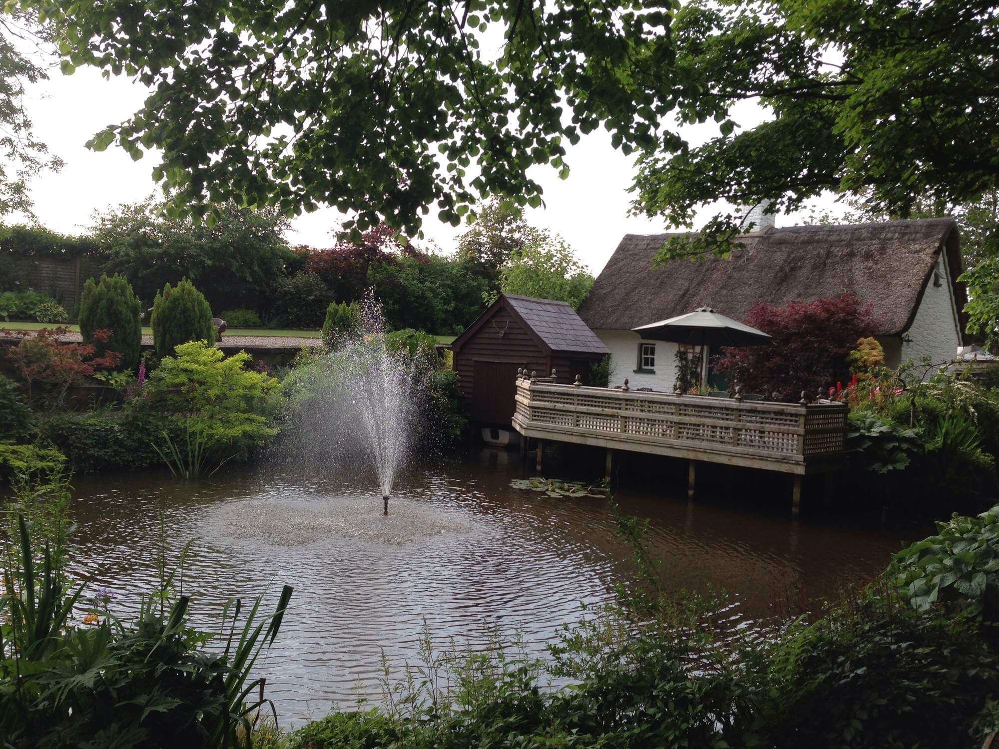 Primrose Gardens: Ponds of the Week - Primrose Garden Club | Expert ...