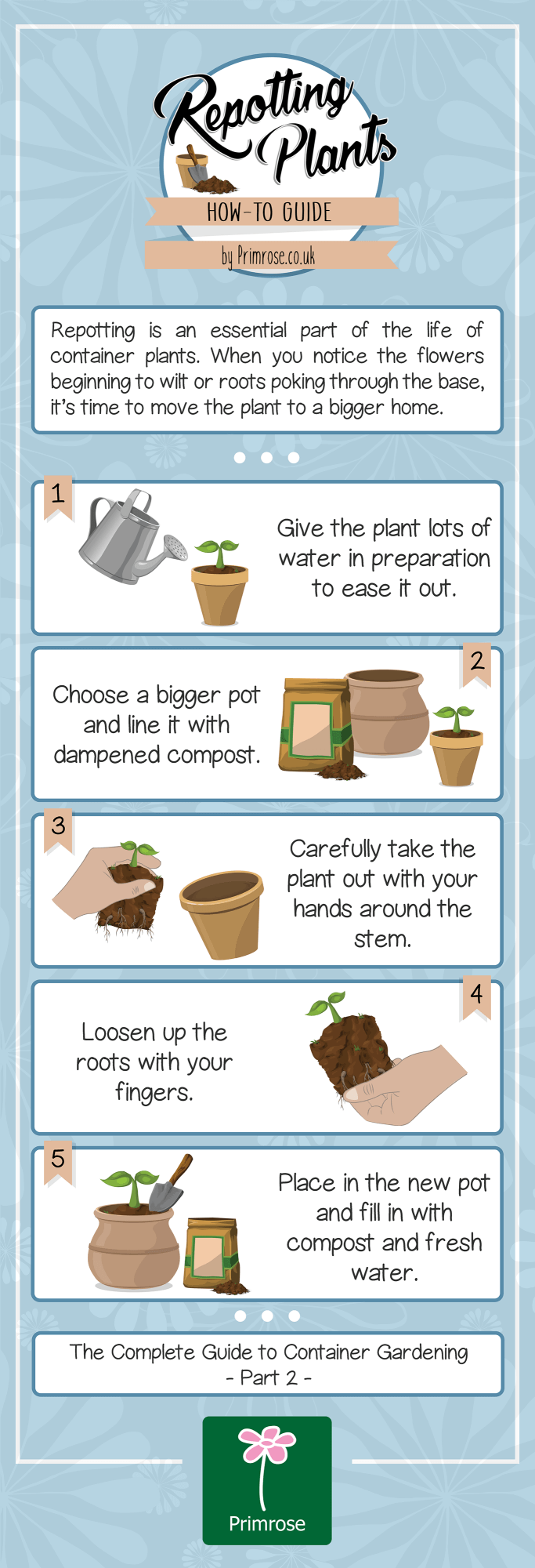 How to Repot a Plant - Primrose Garden Club | Expert Tips, Advice ...