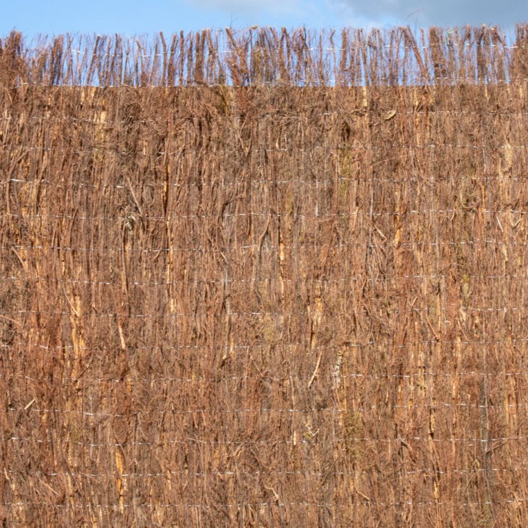 How to Incorporate Your Fence into Your Garden Design - Primrose Garden ...