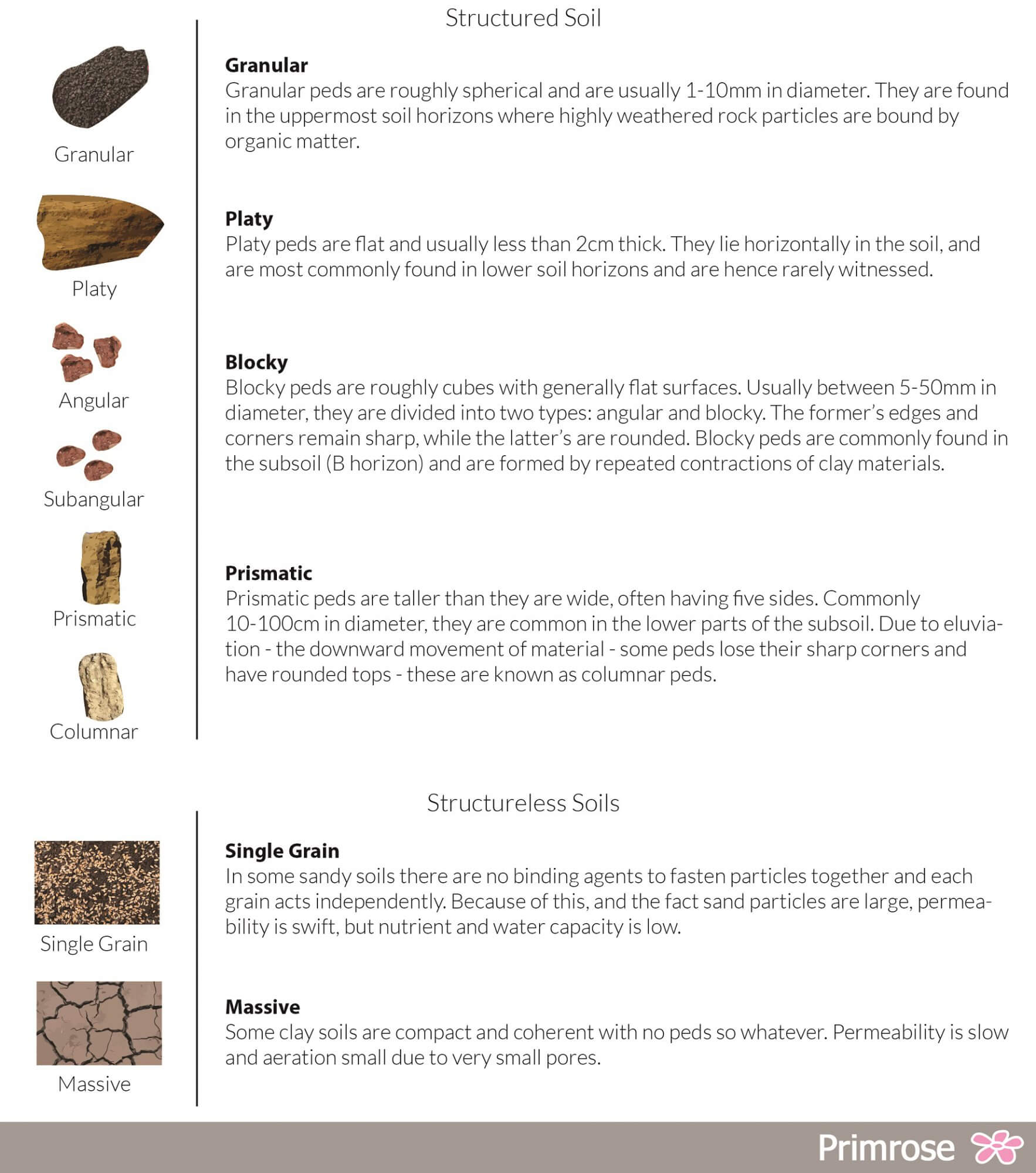 Everything You Need to Know About Soil - the Primrose blog