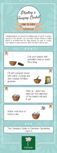 How to Plant a Hanging Basket - Primrose Garden Club | Expert Tips ...
