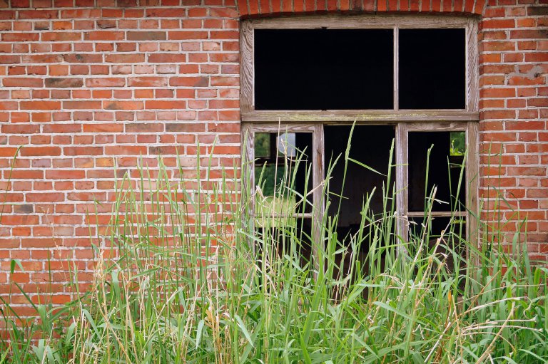 How to Restore a Neglected Garden - The Primrose Garden Club | Expert ...