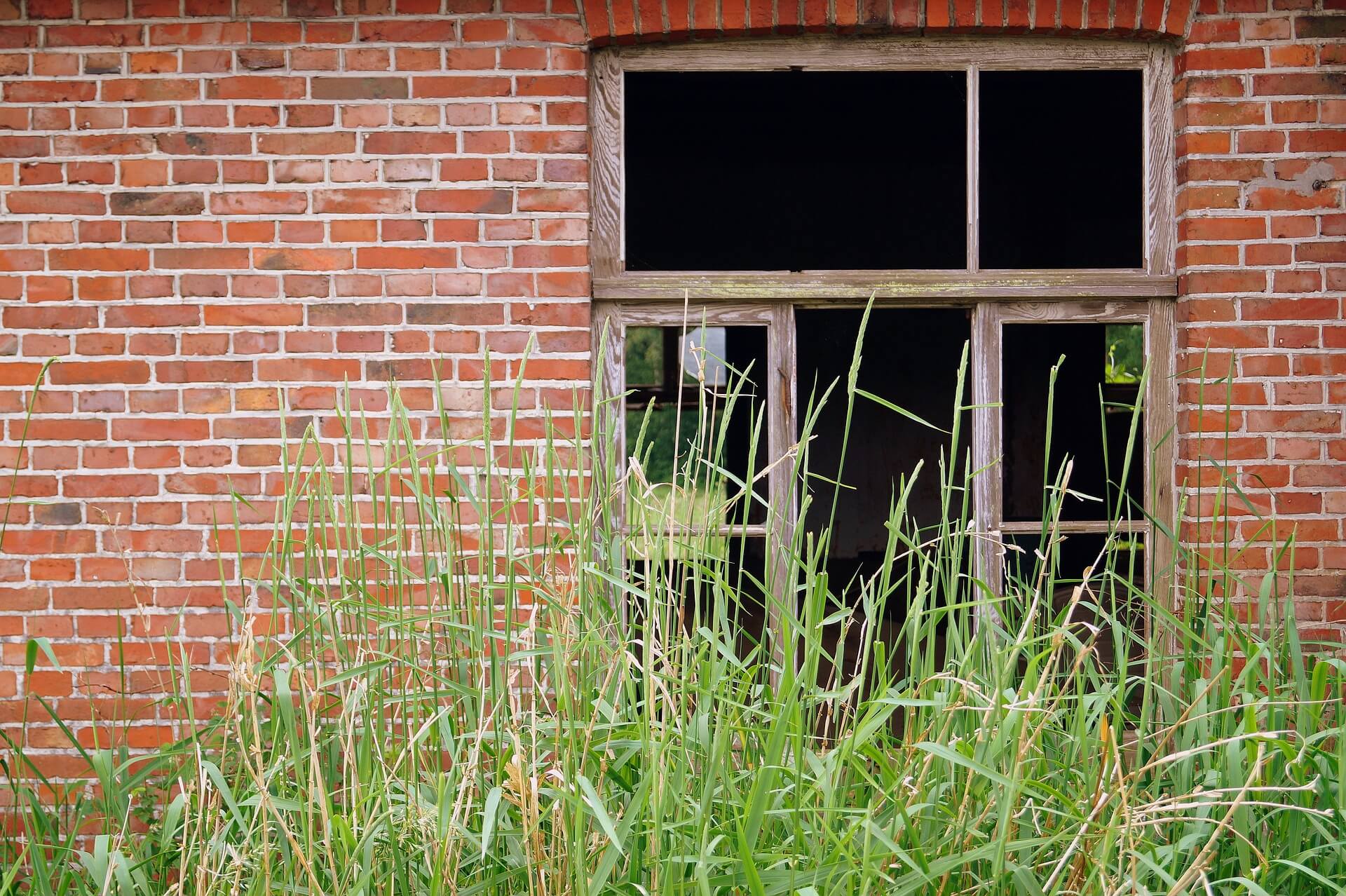 How to Restore a Neglected Garden - The Primrose Garden Club | Expert ...