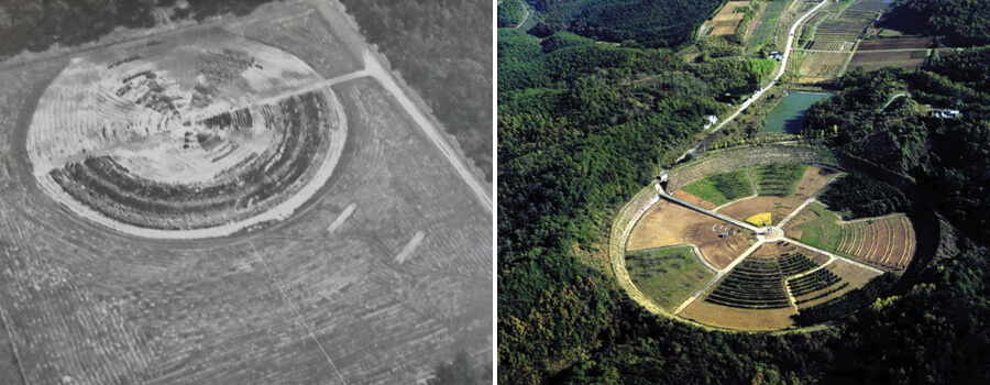 What is Mutation Breeding? - the Primrose blog