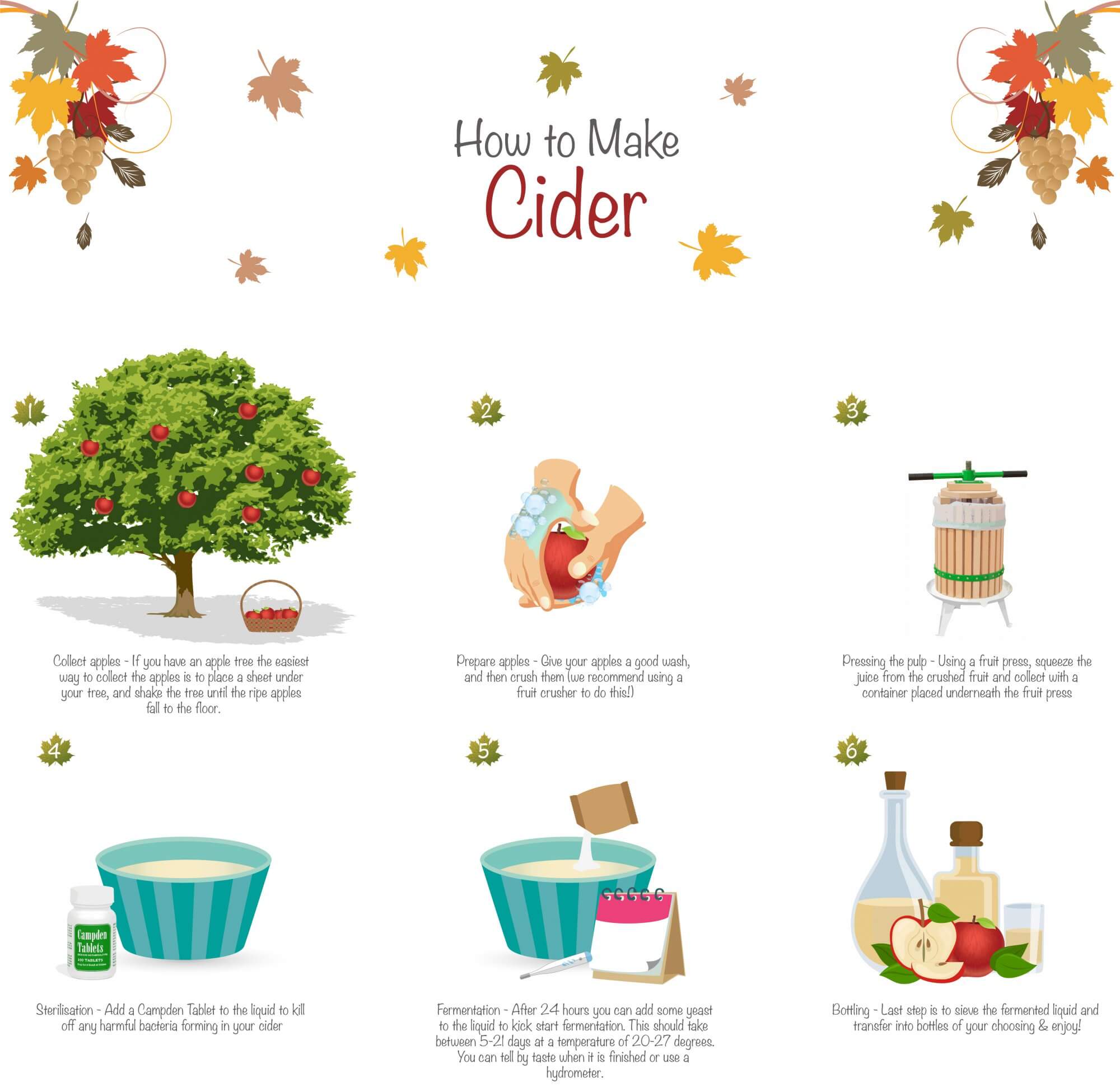 How to Make Apple Cider [Infographic] - Gardening Tips, Advice and ...