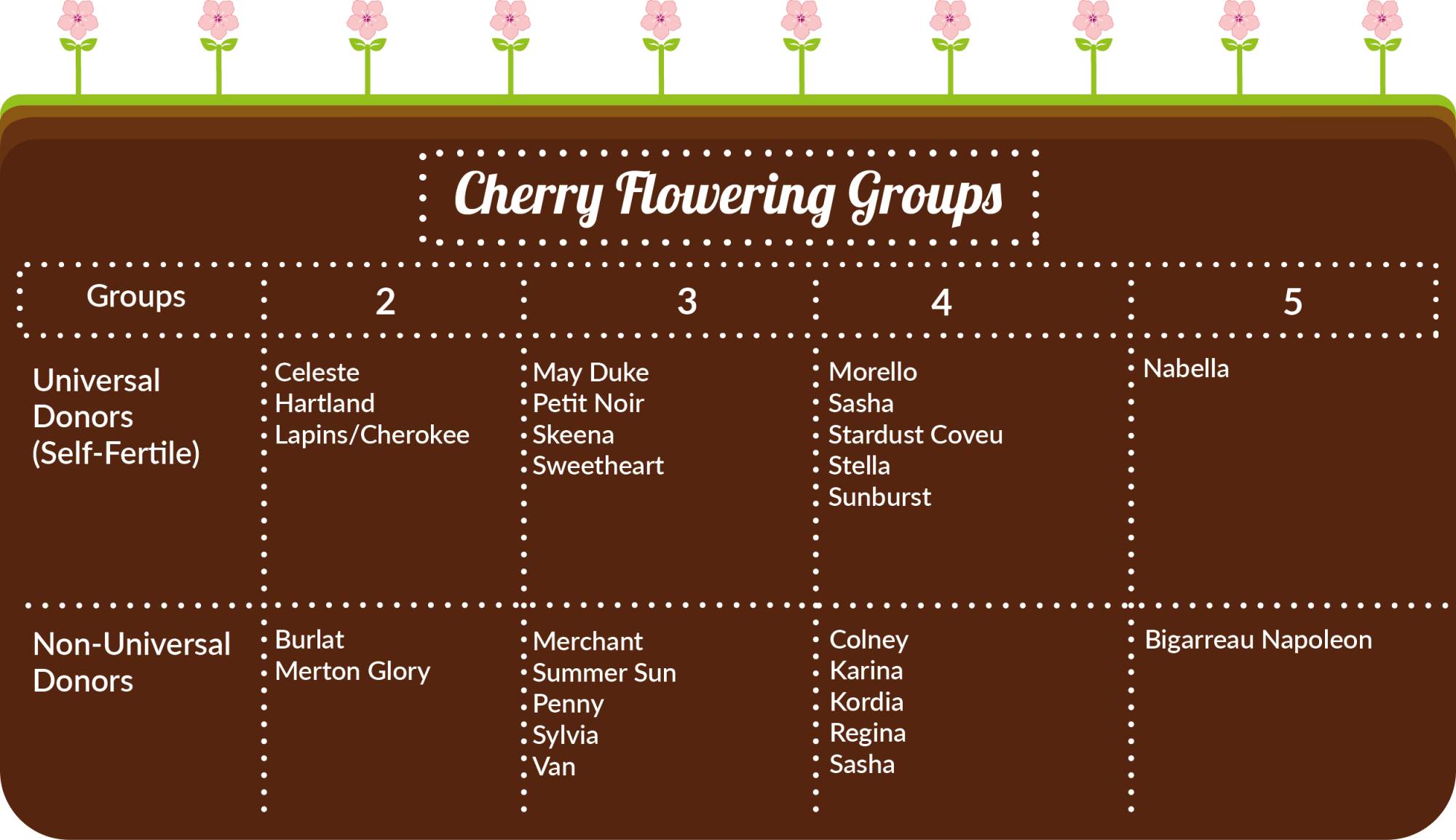 Cherry Fruit Trees Pollination & Varieties Guide - the Primrose blog