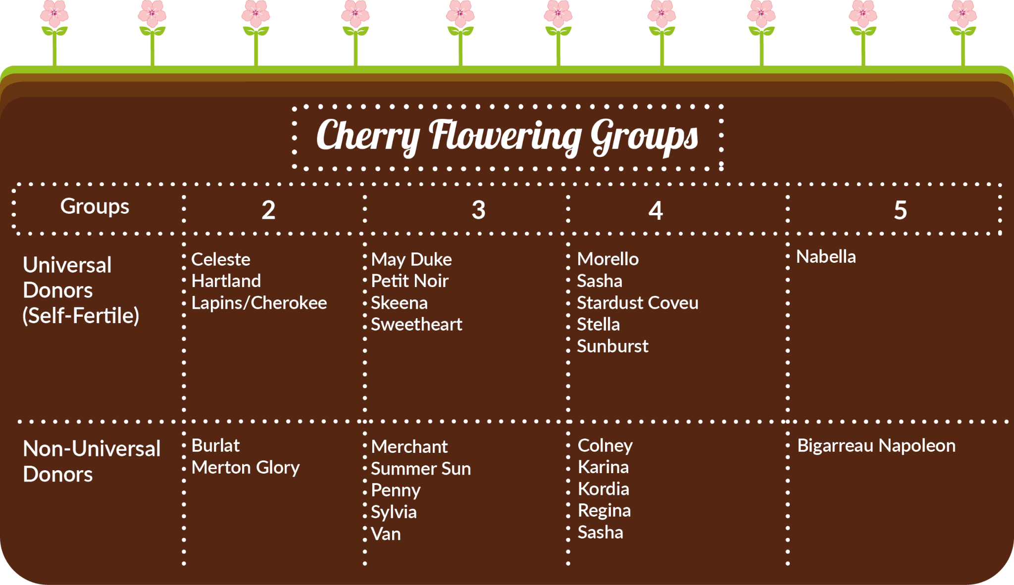 What Is Pollination and Is It Important? - Primrose Garden Club ...
