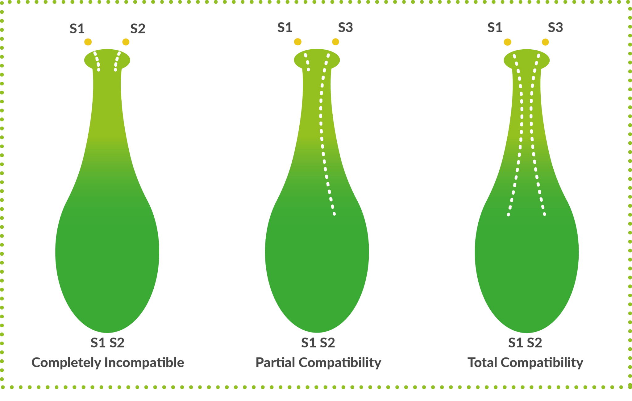 Cherry Fruit Trees Pollination & Varieties Guide - the Primrose blog