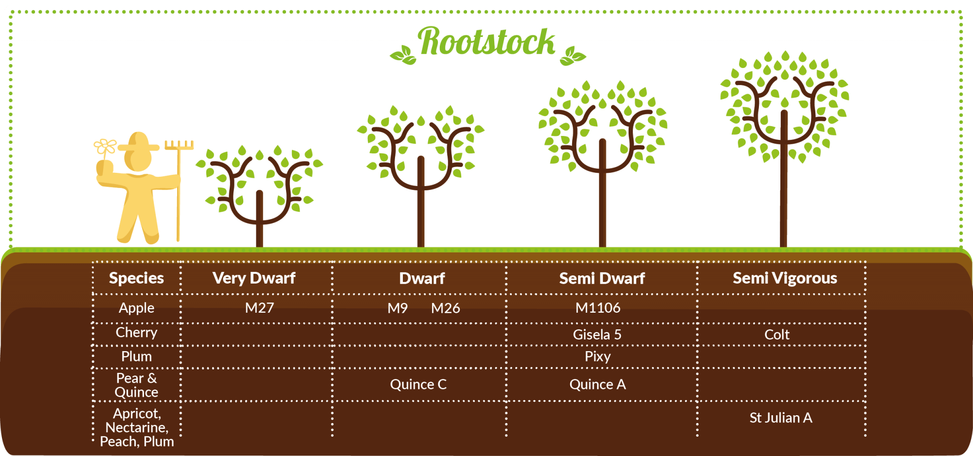 How to Choose The Perfect Apple Tree Rootstock - The Primrose Garden ...