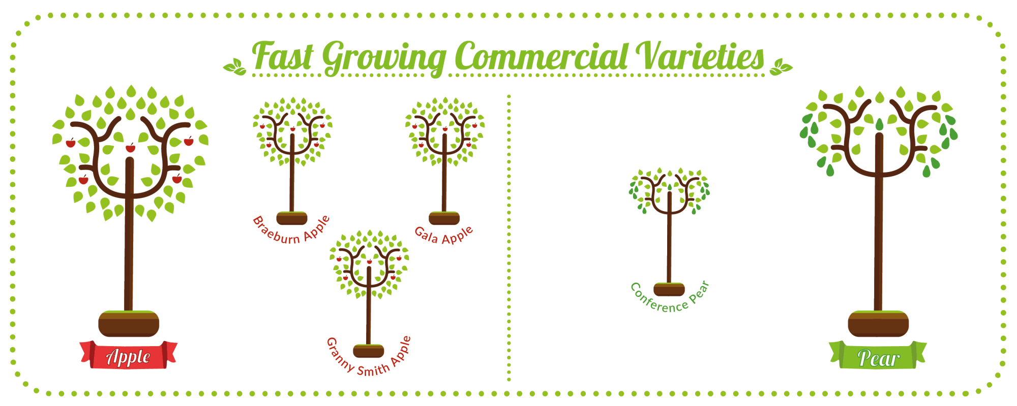 How to Grow Fruit Trees Successfully - the Primrose blog