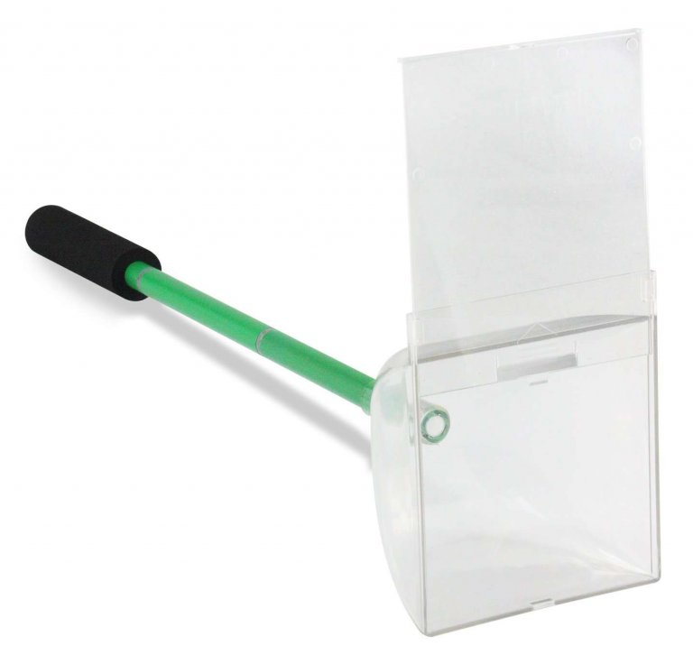 How to Get Rid of Spiders in House- the Primrose blog