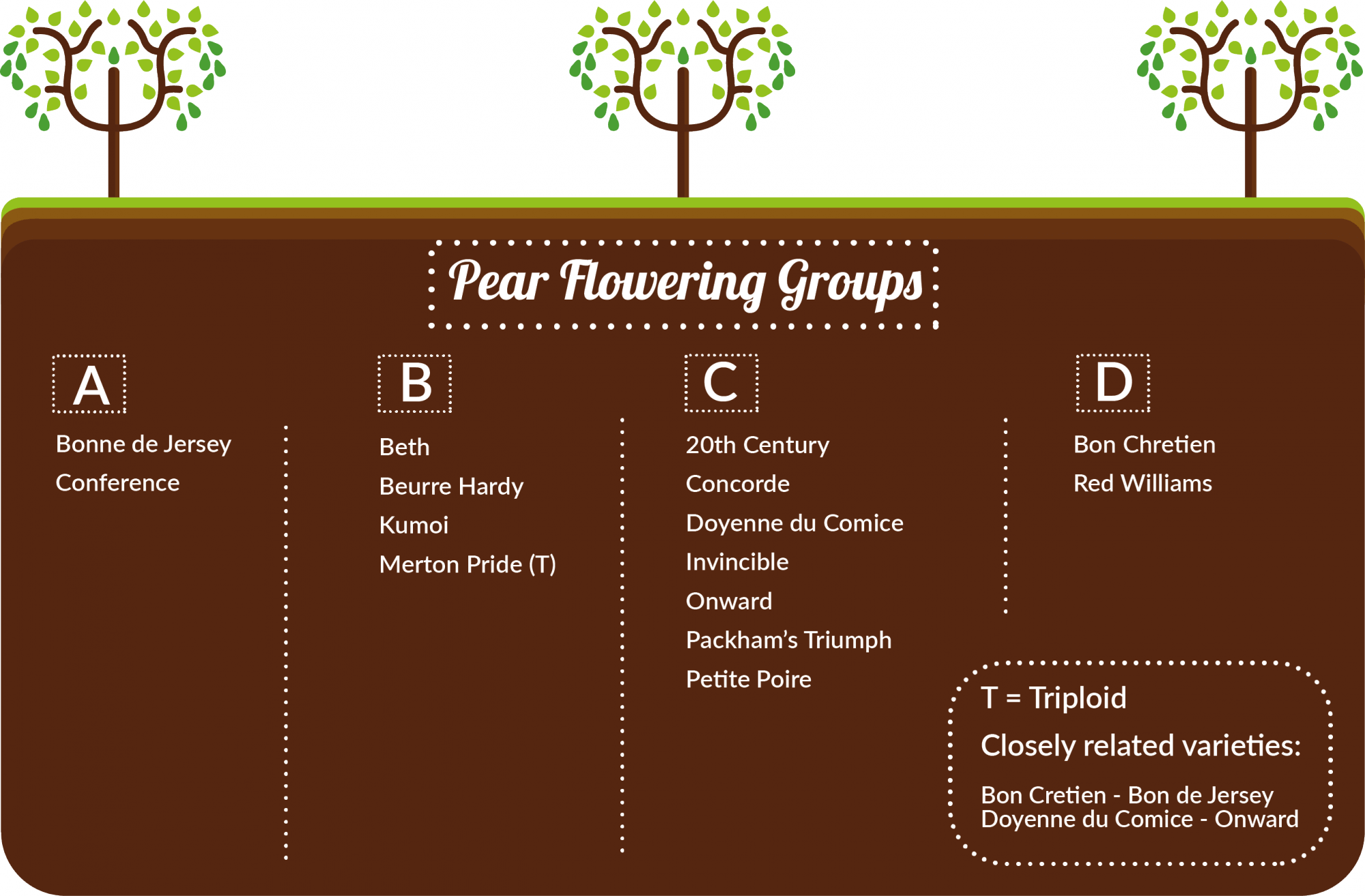 What Is Pollination and Is It Important? - Primrose Garden Club ...