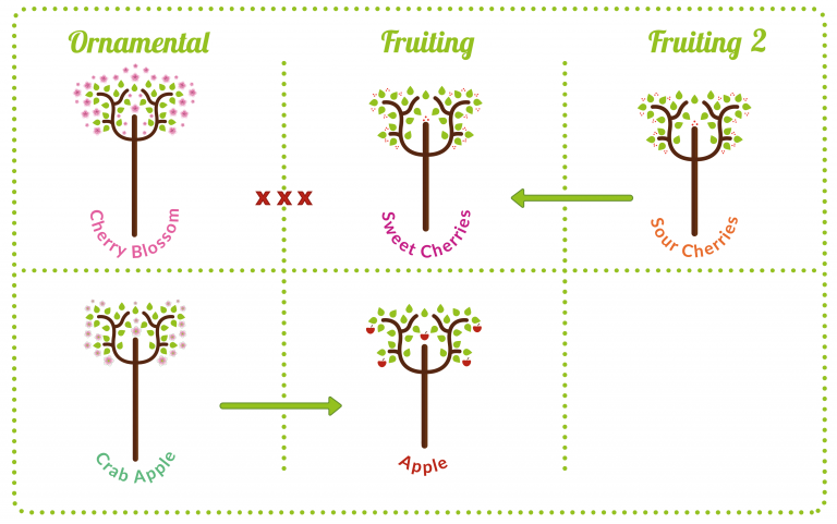 What Is Pollination and Is It Important? - Primrose Garden Club ...