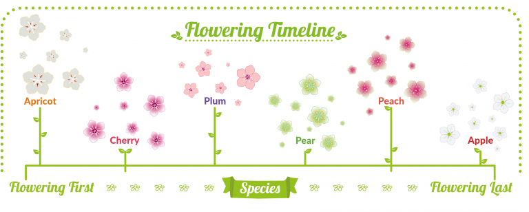 What Is Pollination and Is It Important? - Primrose Garden Club ...