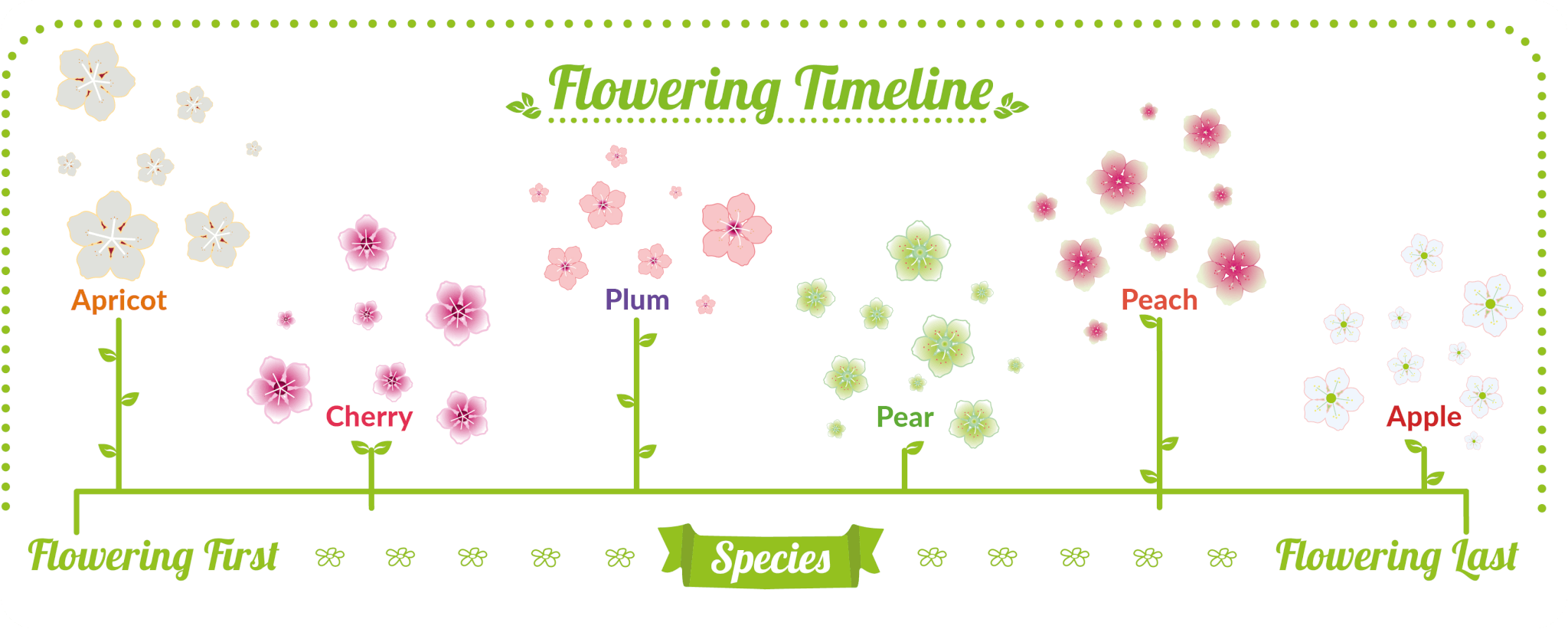 How to Grow Fruit Trees Successfully - the Primrose blog