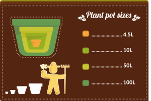 Plant Pot Sizes: The Complete Guide - Gardening Tips, Advice and ...