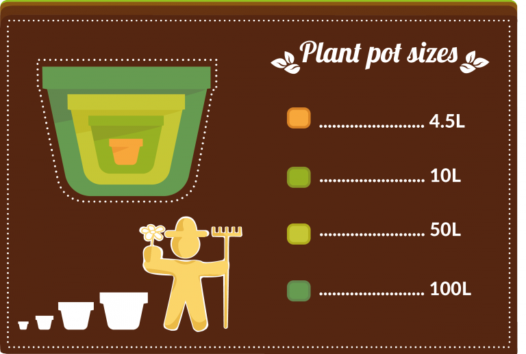 Plant Pot Sizes: The Complete Guide - Gardening Tips, Advice and ...