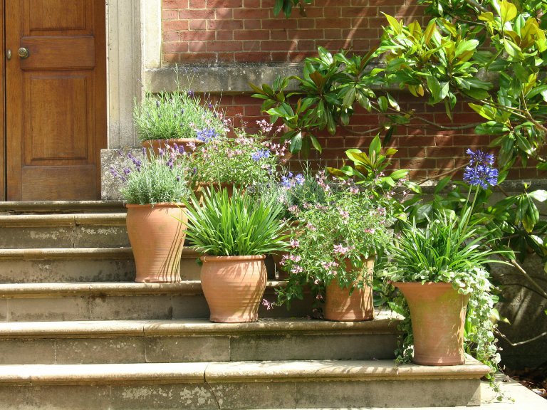 Plant Pot Sizes: The Complete Guide - Gardening Tips, Advice and ...