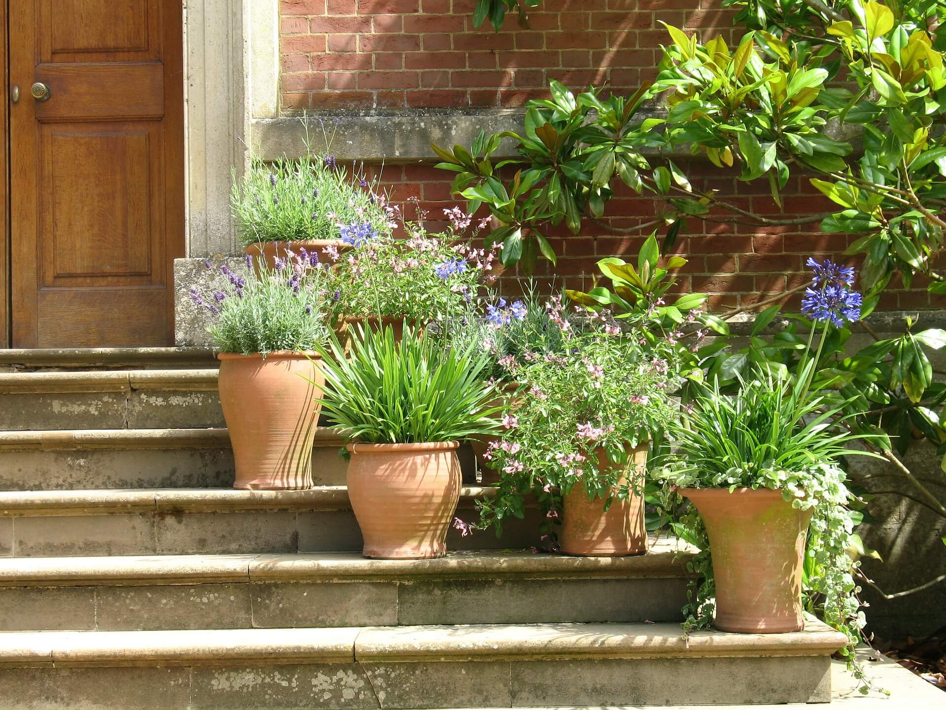 Plant Pot Sizes: The Complete Guide - Gardening Tips, Advice and ...