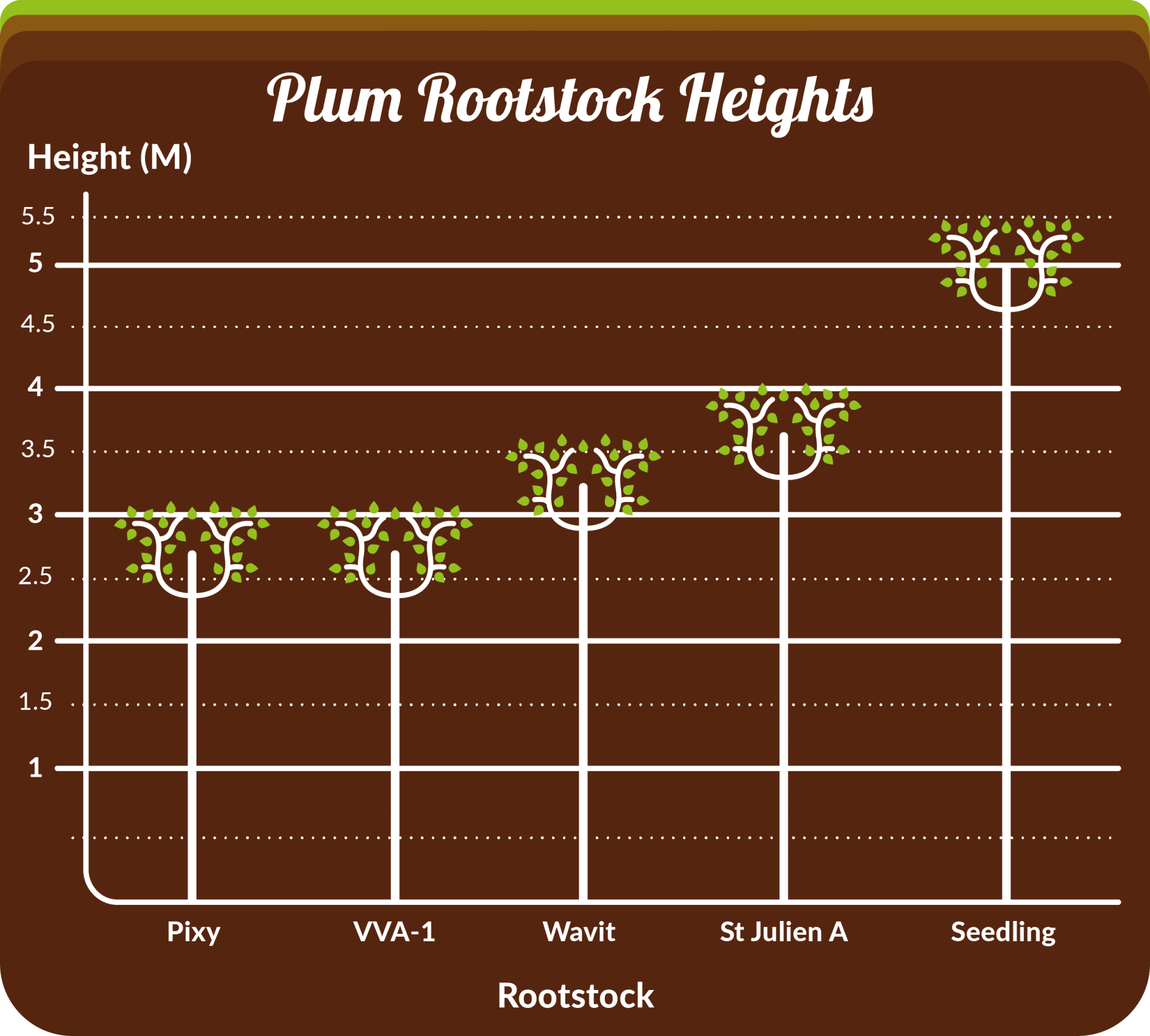 Choosing The Perfect Plum Tree Rootstock - the Primrose blog