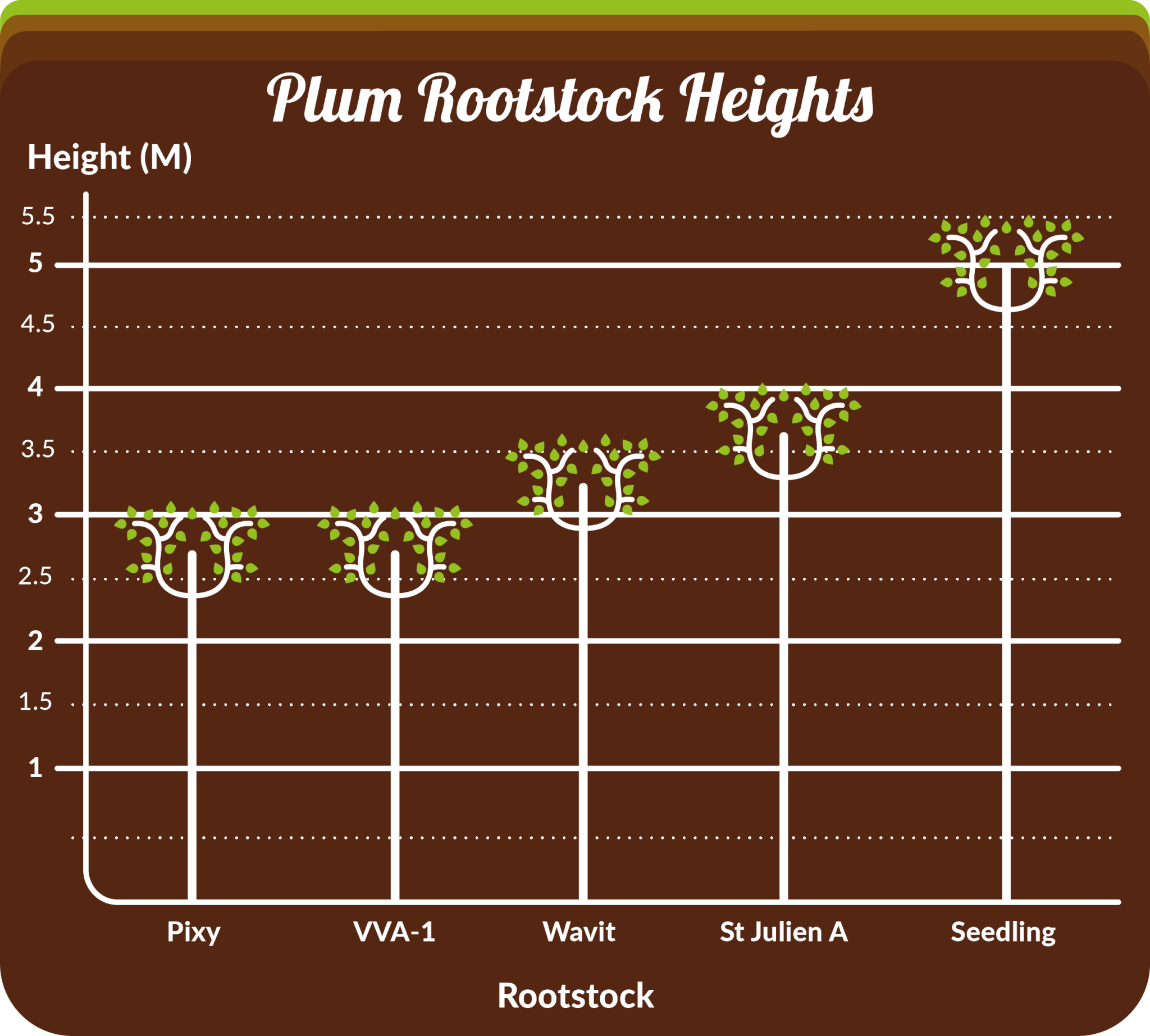 Choosing The Perfect Plum Tree Rootstock - the Primrose blog