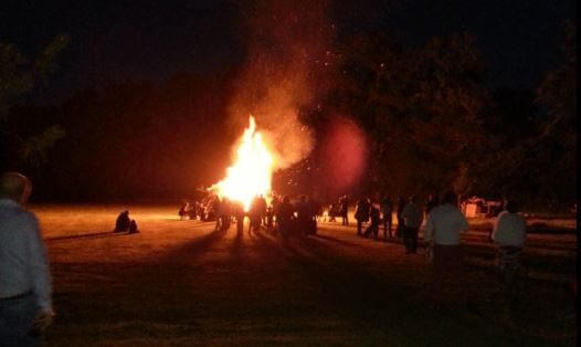 Remember, Remember the 5th November - Gardening Tips, Advice and ...