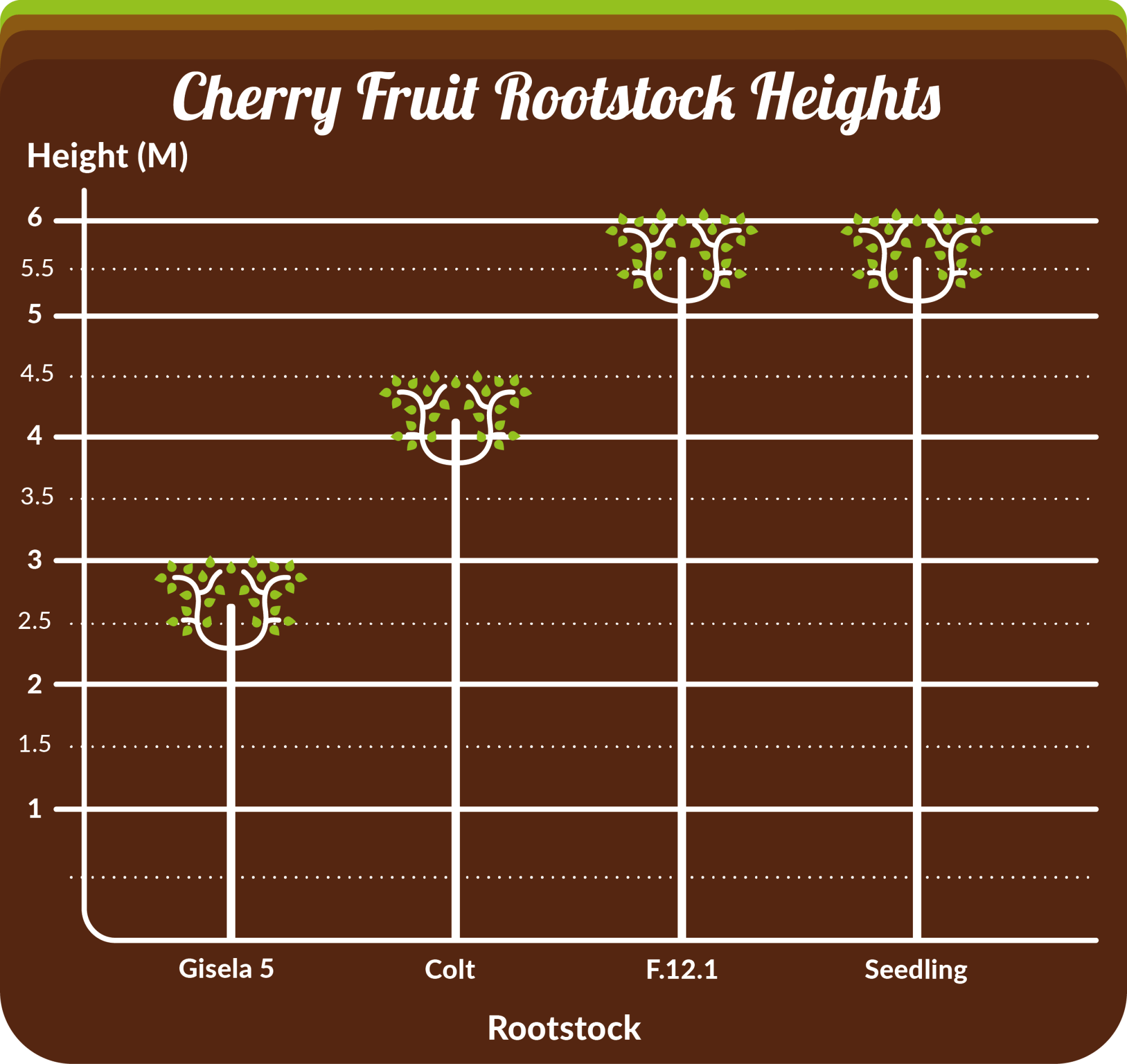Choosing The Perfect Cherry Fruit Tree Rootstock - The Primrose Garden ...