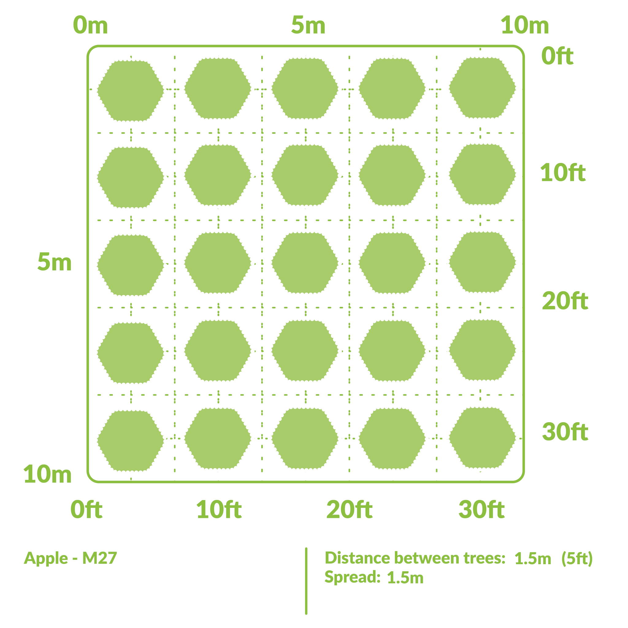 Fruit Tree Spacing Guide - Gardening Tips, Advice and Inspiration