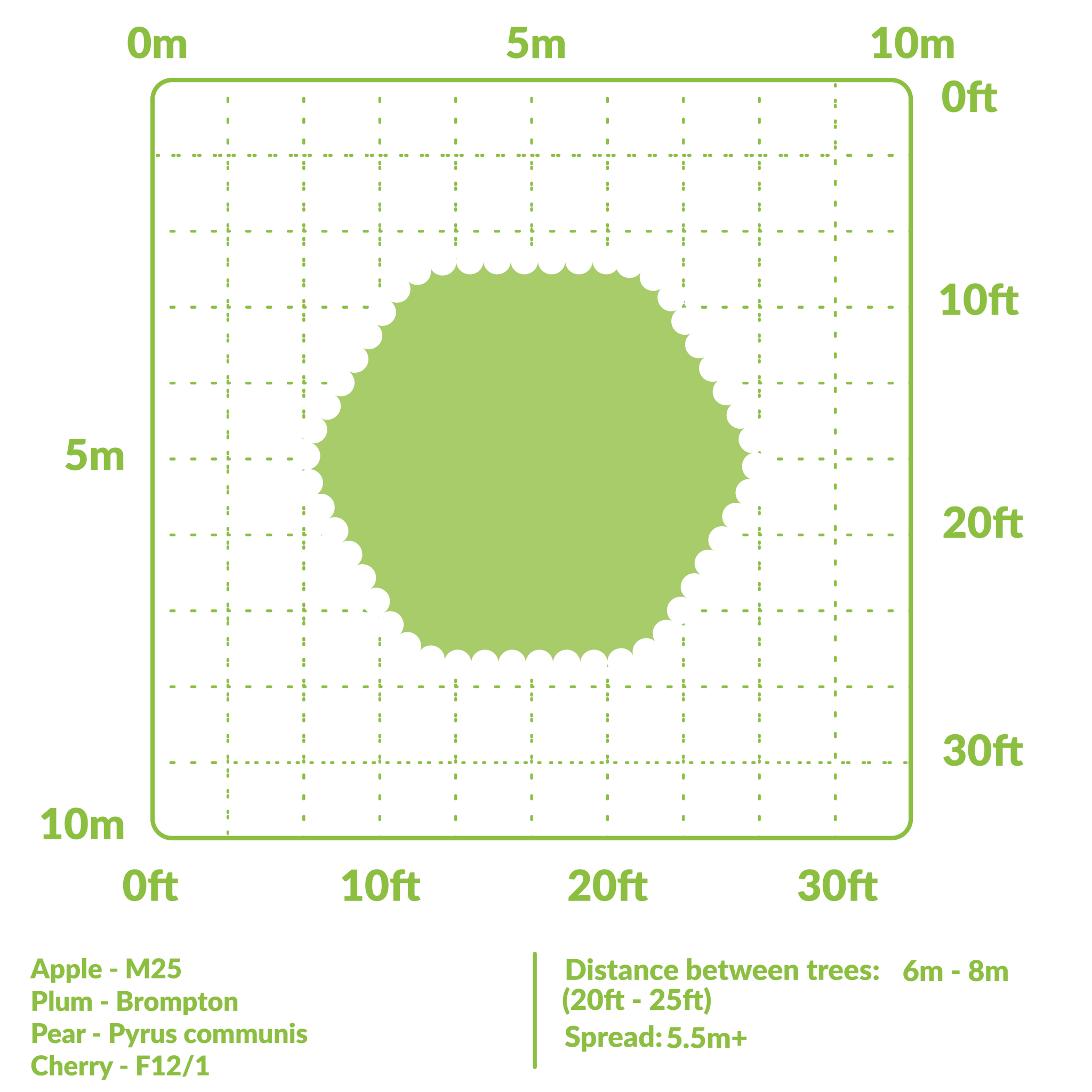 Fruit Tree Spacing Guide - The Primrose Garden Club | Expert Tips ...