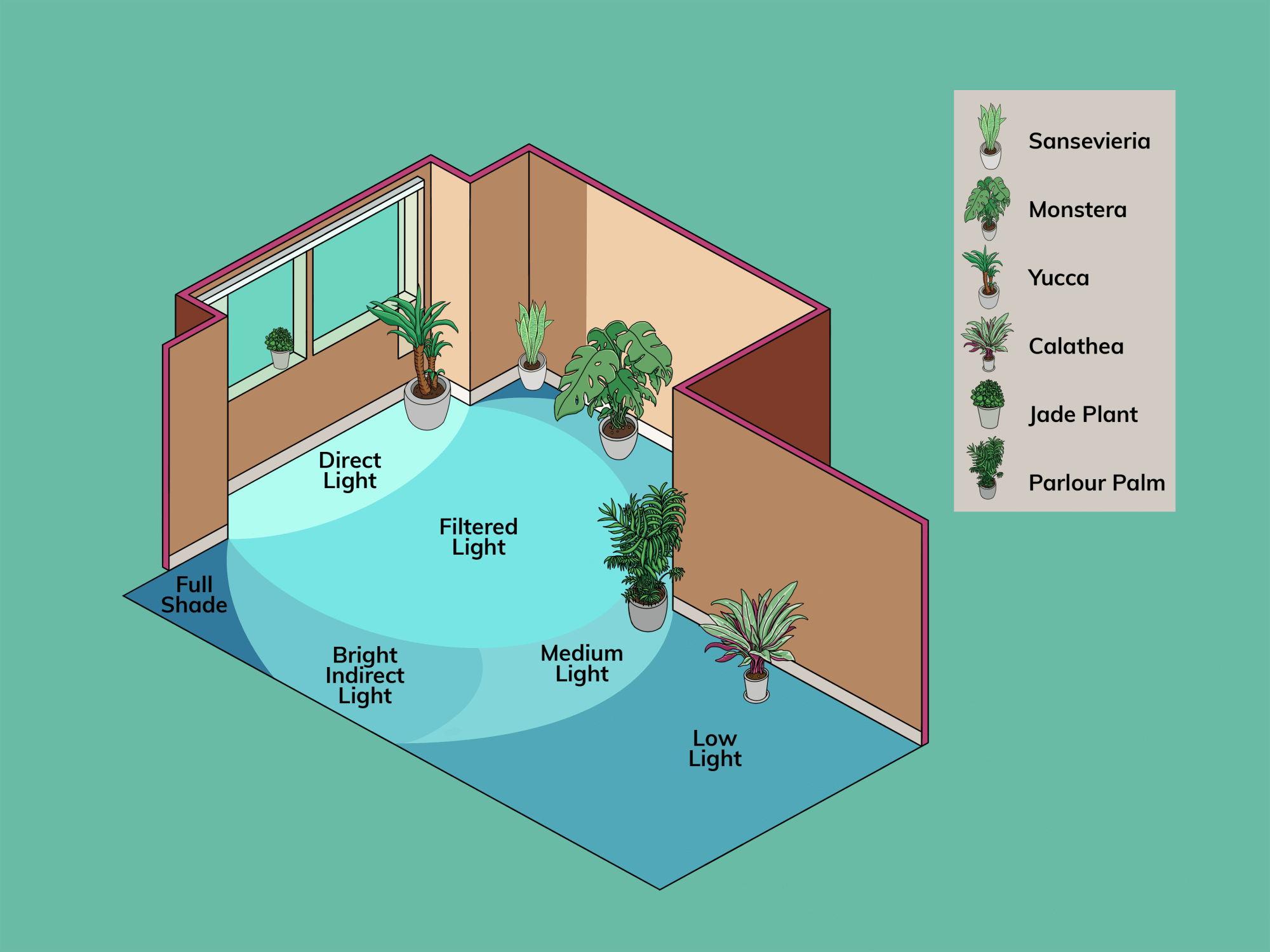 Easy House Plants Care Guide - Gardening Tips, Advice and Inspiration
