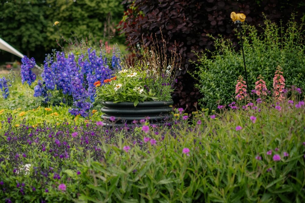 What Is A Perennial Plant? - The Primrose Garden Club | Expert Tips ...