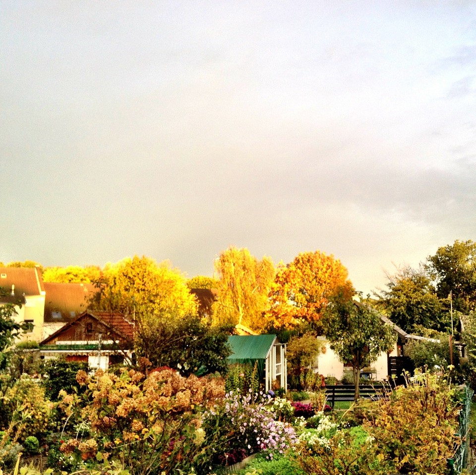 Autumn Gardening Jobs - The Primrose Garden Club | Expert Tips, Advice ...