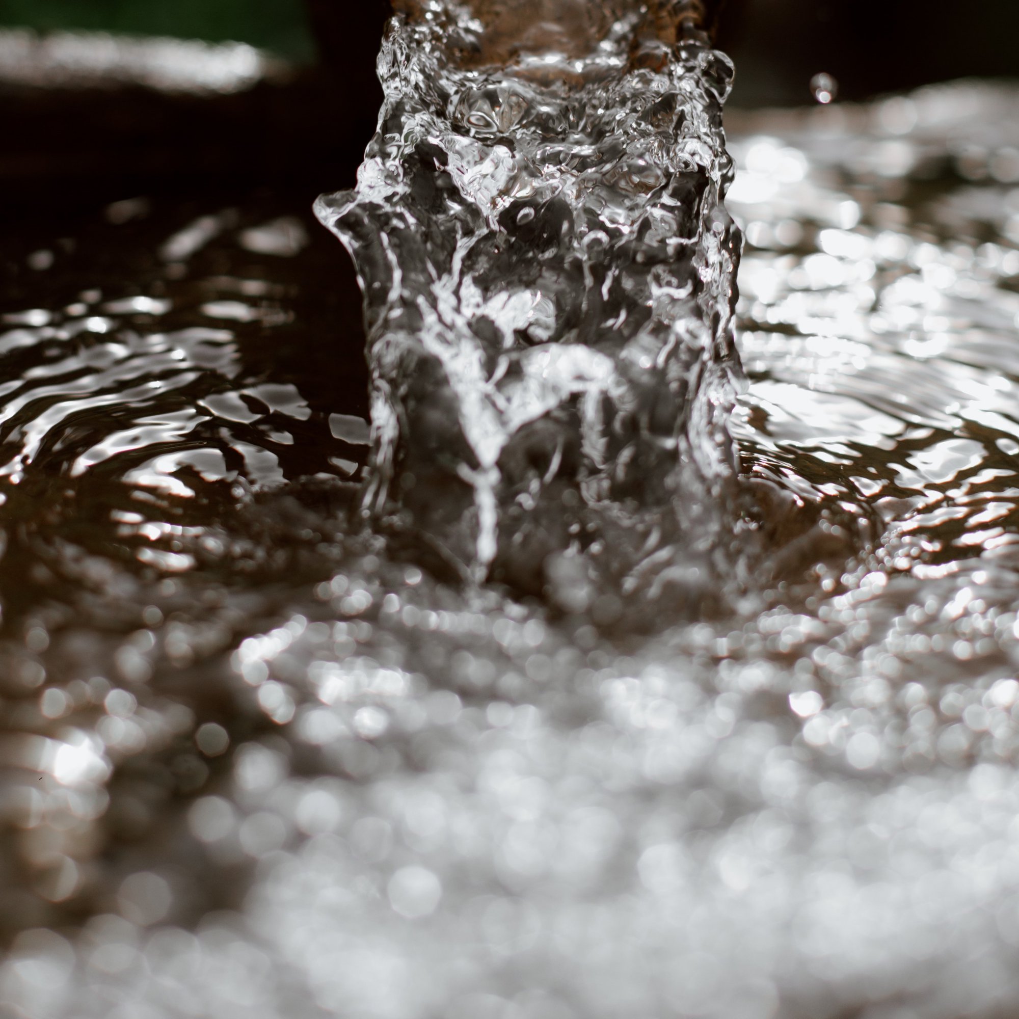 The Health Benefits Of Indoor Water Features - Gardening Tips, Advice ...
