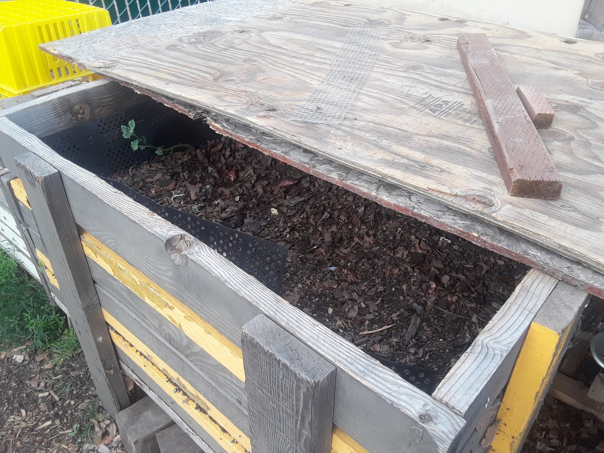 Beginners Guide To Composting - Primrose Garden Club | Expert Tips ...