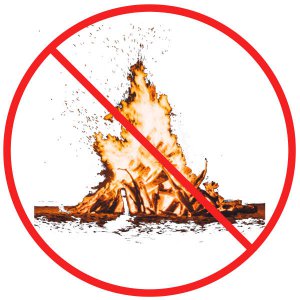 What to Burn in a Fire Pit - The Primrose Garden Club | Expert Tips ...