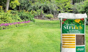 What is Strulch and why do I need it? - Primrose Garden Club | Expert ...