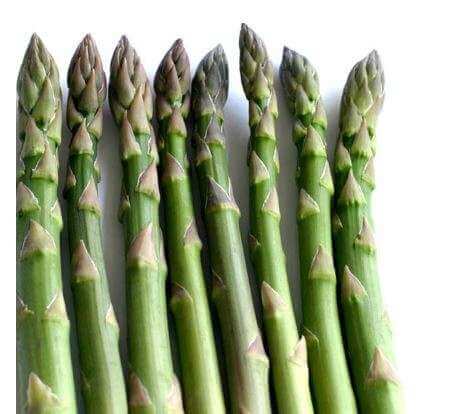 How To Grow Asparagus In The UK - The Primrose Garden Club | Expert ...