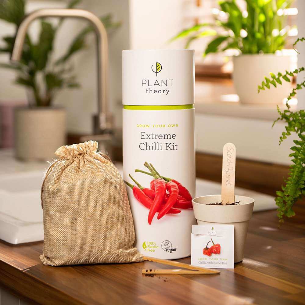 How to Grow Chillies - Primrose Garden Club | Expert Tips, Advice ...