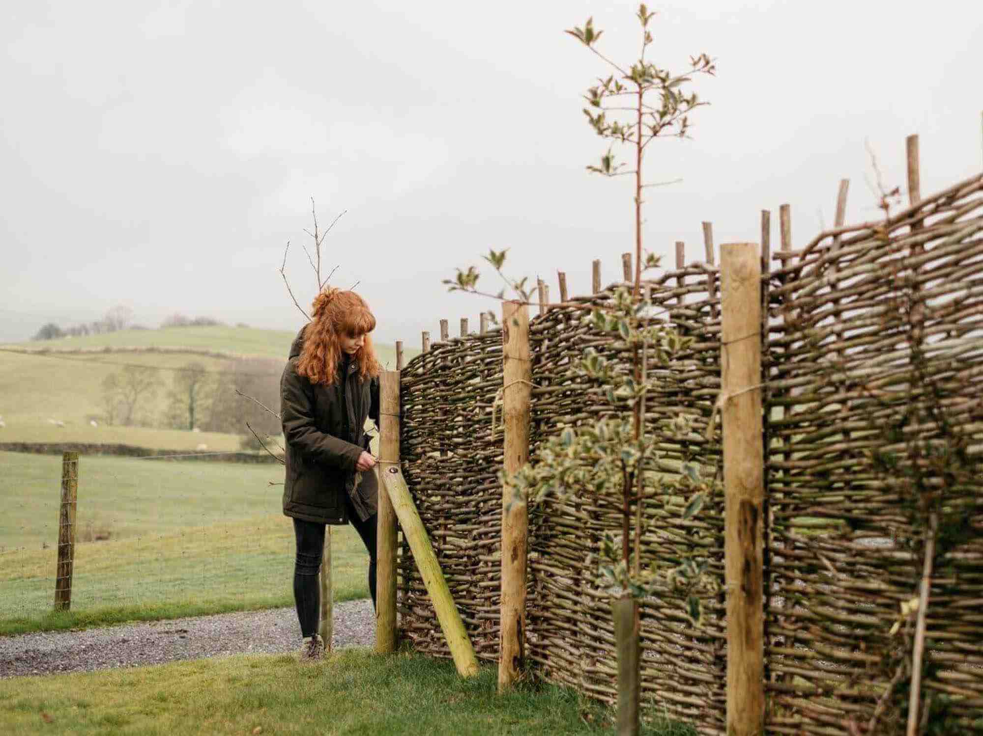 Fencing Installation Guide