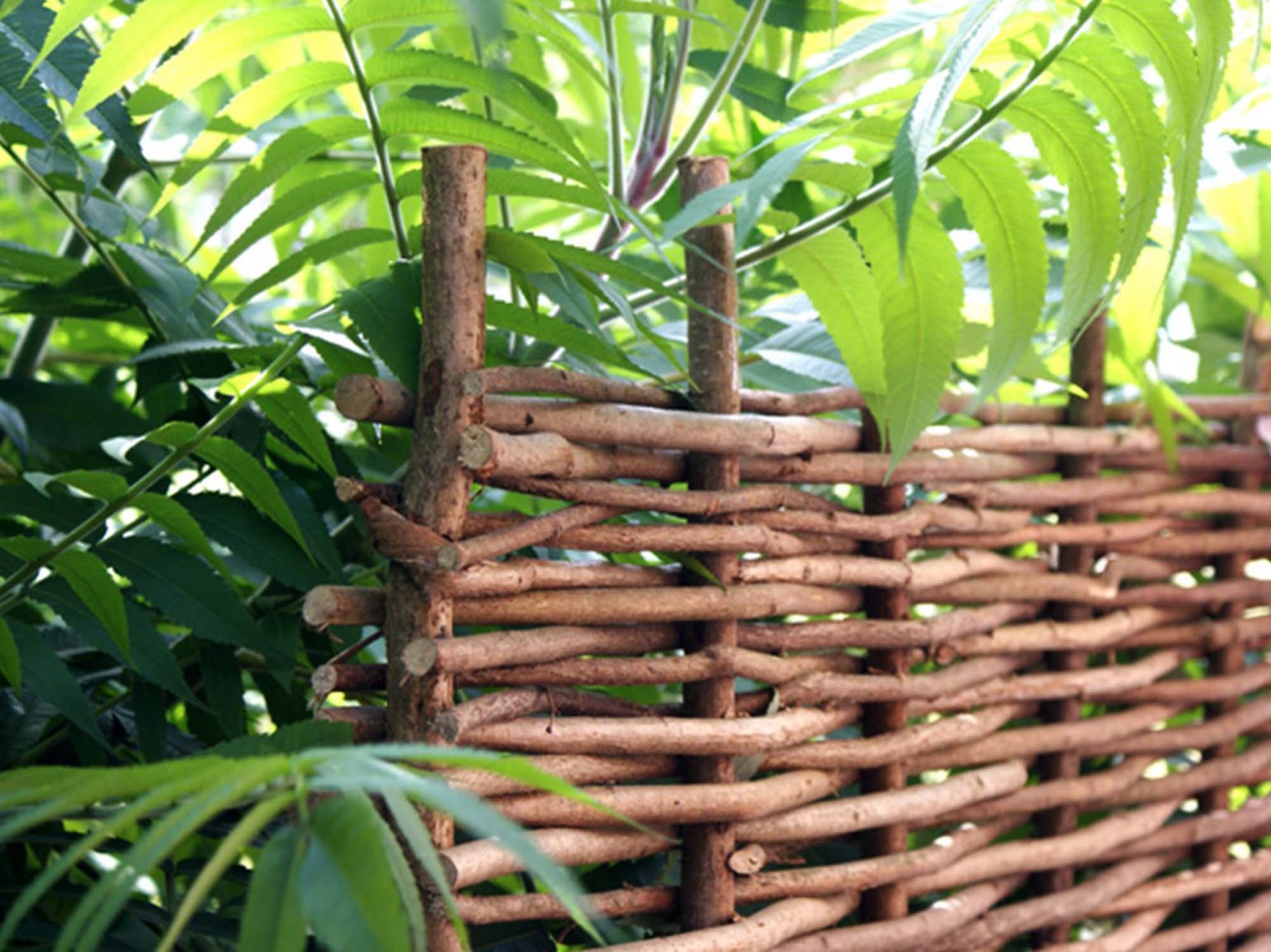 Natural Fencing Ideas for Your Garden - Primrose Garden Club | Expert ...