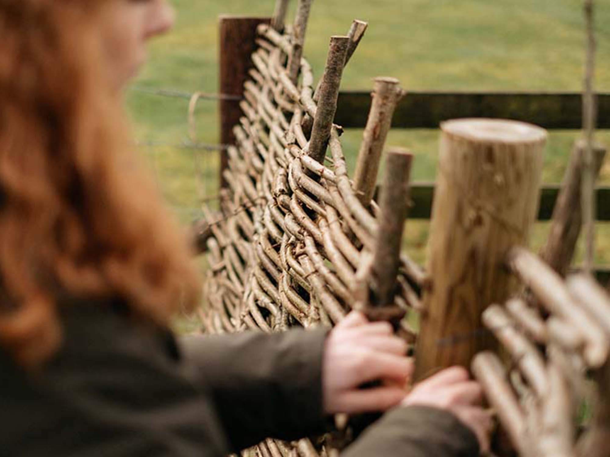 How to Windproof Your Garden - Primrose Garden Club | Expert Tips ...