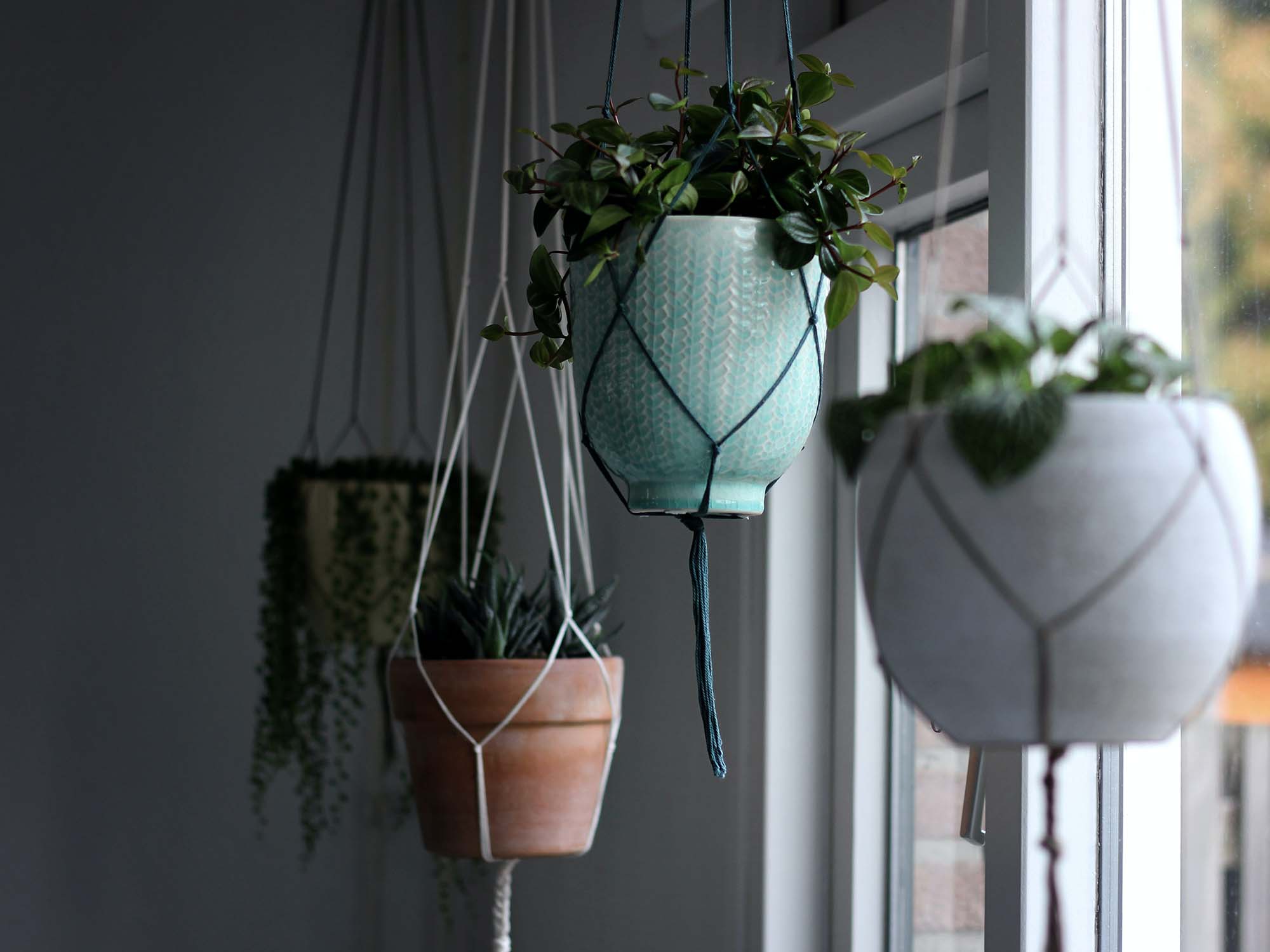 What Are Planters? - Gardening Tips, Advice and Inspiration