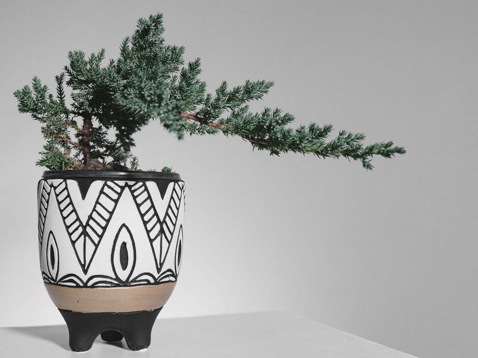 What Are Planters? - Gardening Tips, Advice and Inspiration