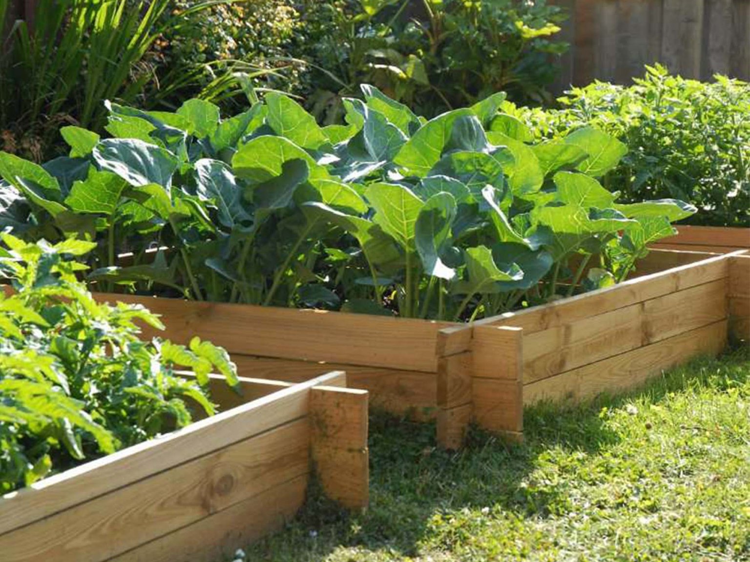 How to Make a Raised Planter - Primrose Garden Club | Expert Tips ...